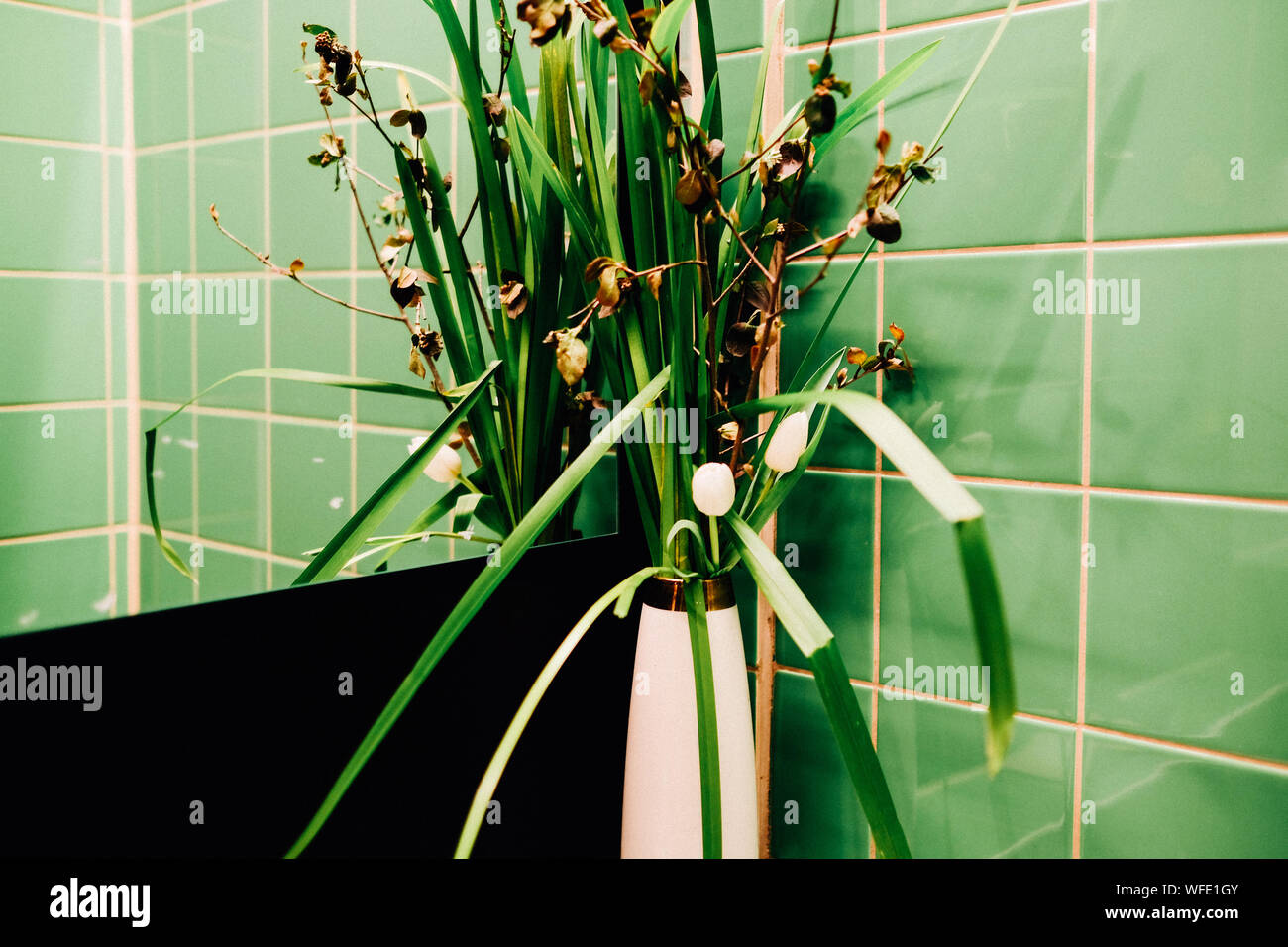Plant With Reflection In Mirror At Bathroom Stock Photo - Alamy
