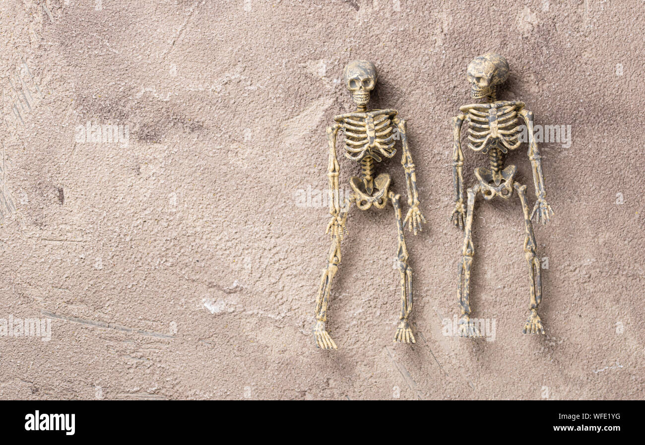 Halloween festive background with skeleton Stock Photo - Alamy