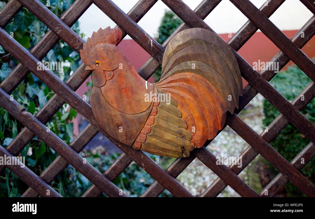 Chicken on fence hi-res stock photography and images - Alamy
