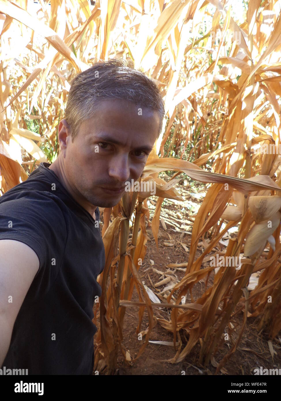 Portrait of corn hi-res stock photography and images - Alamy