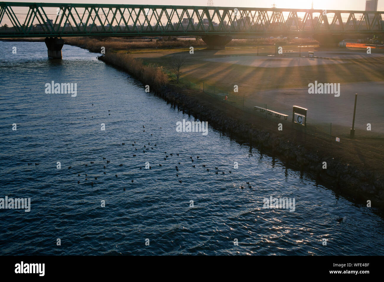 Edo River High Resolution Stock Photography and Images - Alamy
