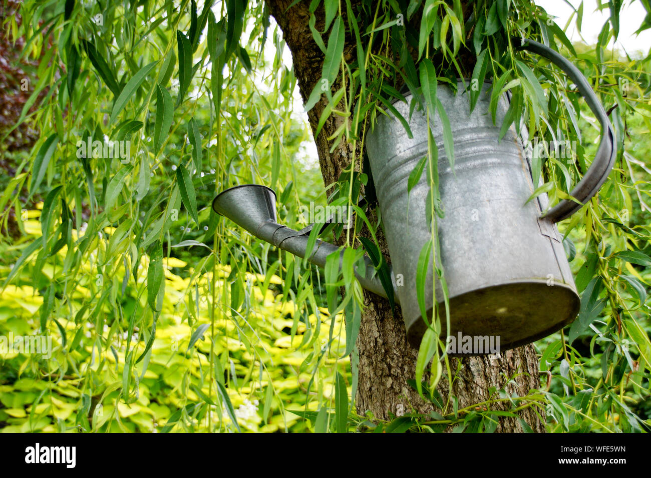 Hanging Watering High Resolution Stock Photography and Images - Alamy