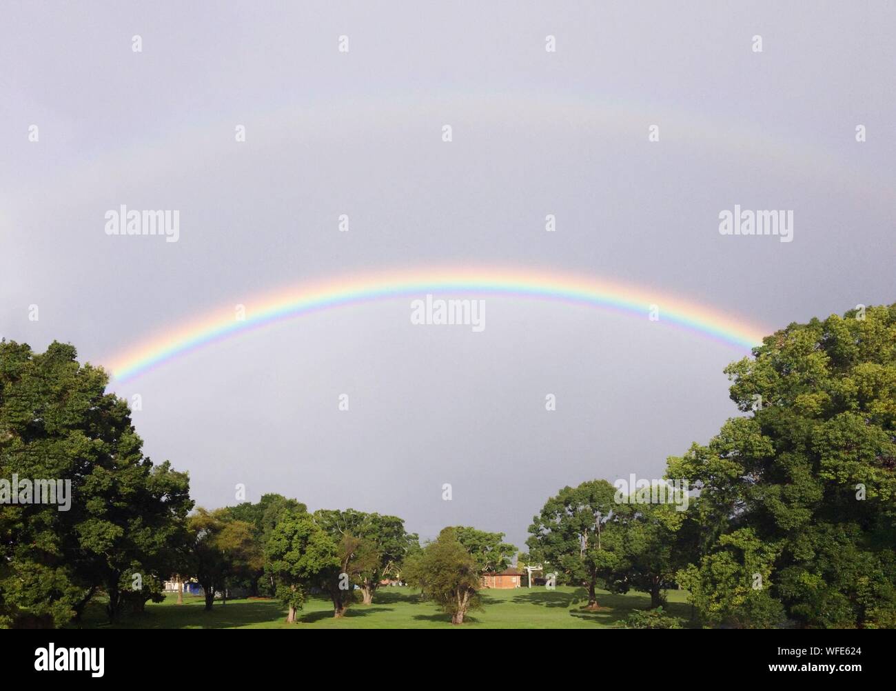 Rainbow and trees hi-res stock photography and images - Alamy