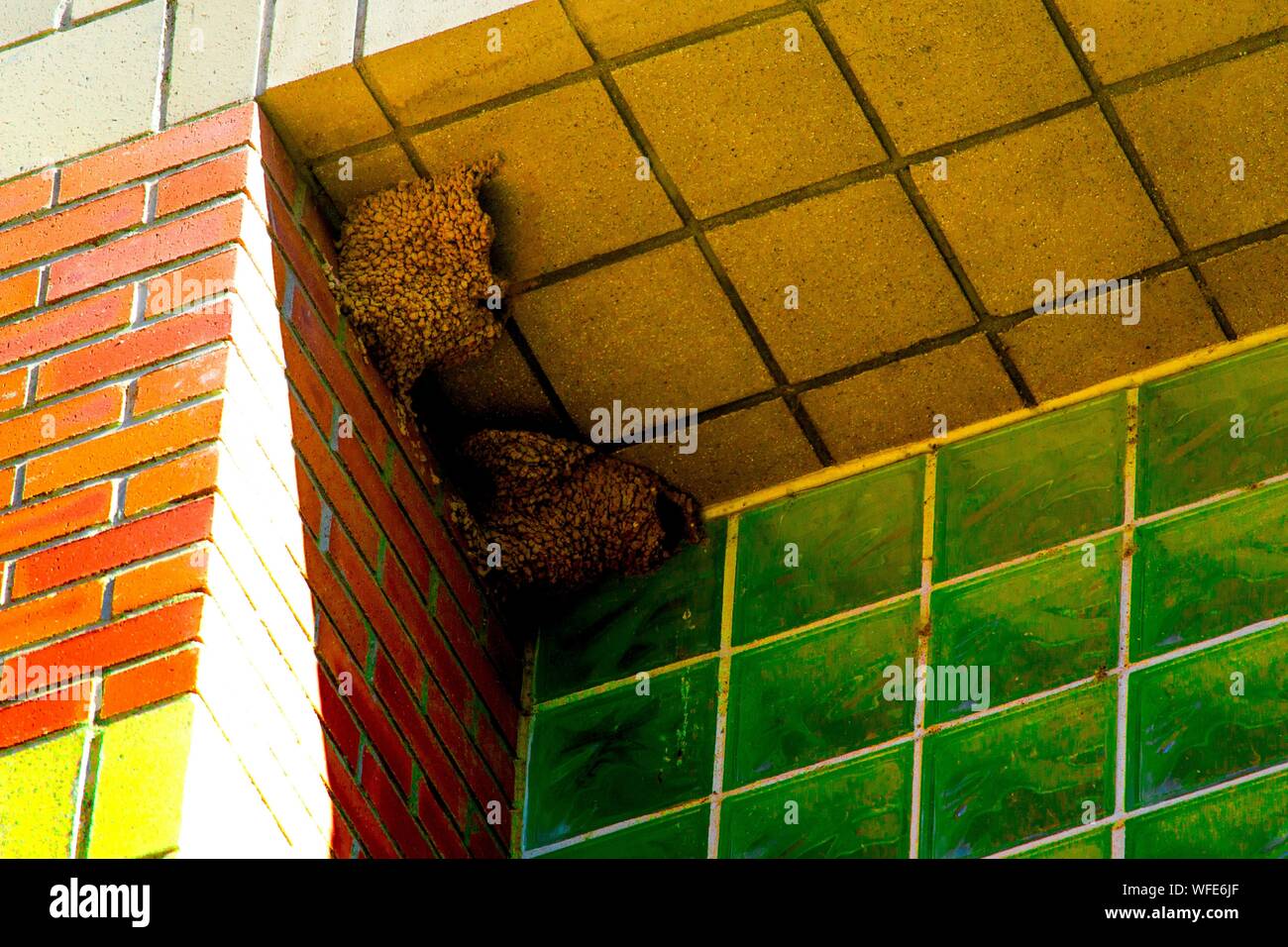 Birds nests hi-res stock photography and images - Alamy