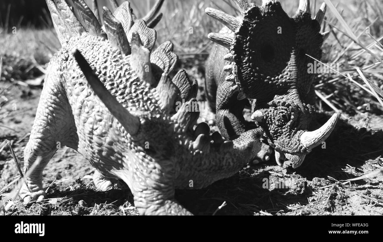 Statues Of Extinct Animals Stock Photo - Alamy
