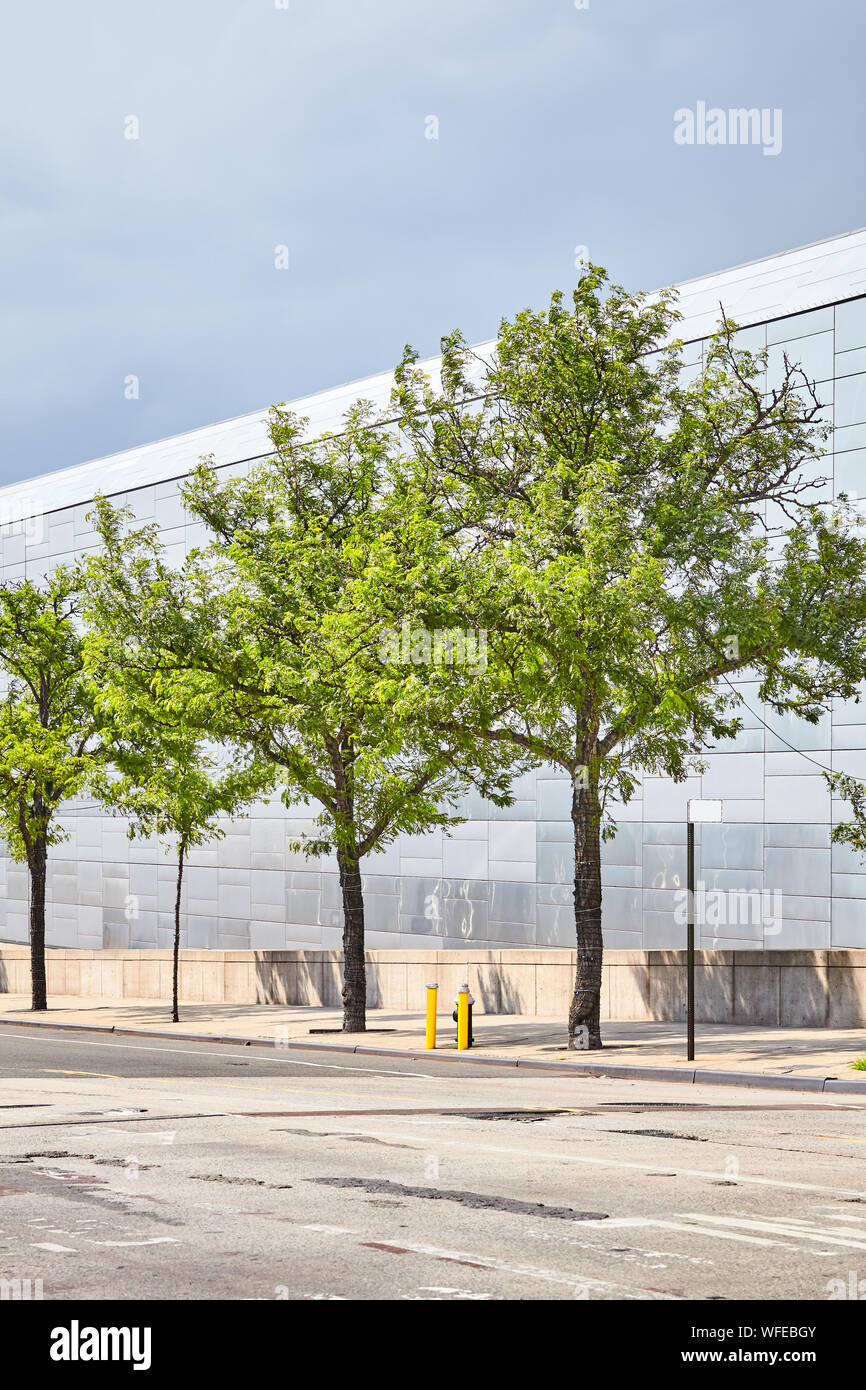 City street trees hi-res stock photography and images - Alamy