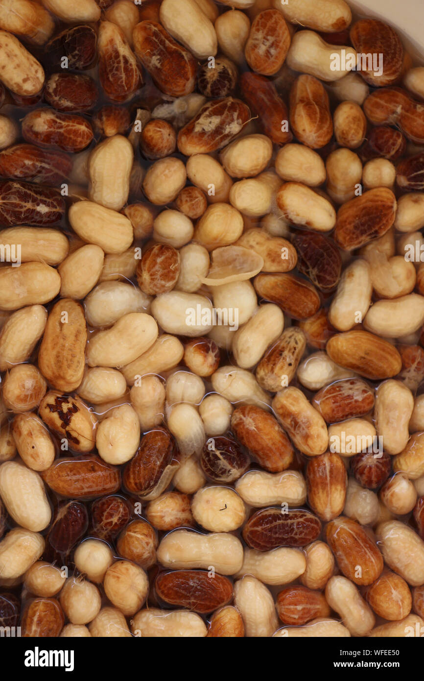 Peanut in water hi-res stock photography and images - Alamy