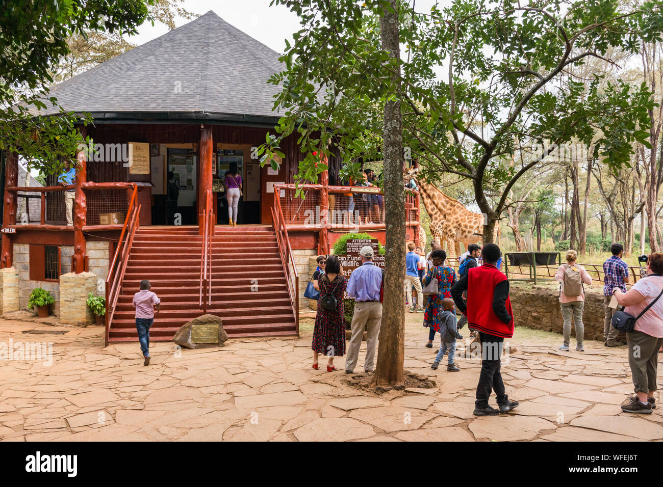 Giraffe center african fund hi-res stock photography and images - Alamy