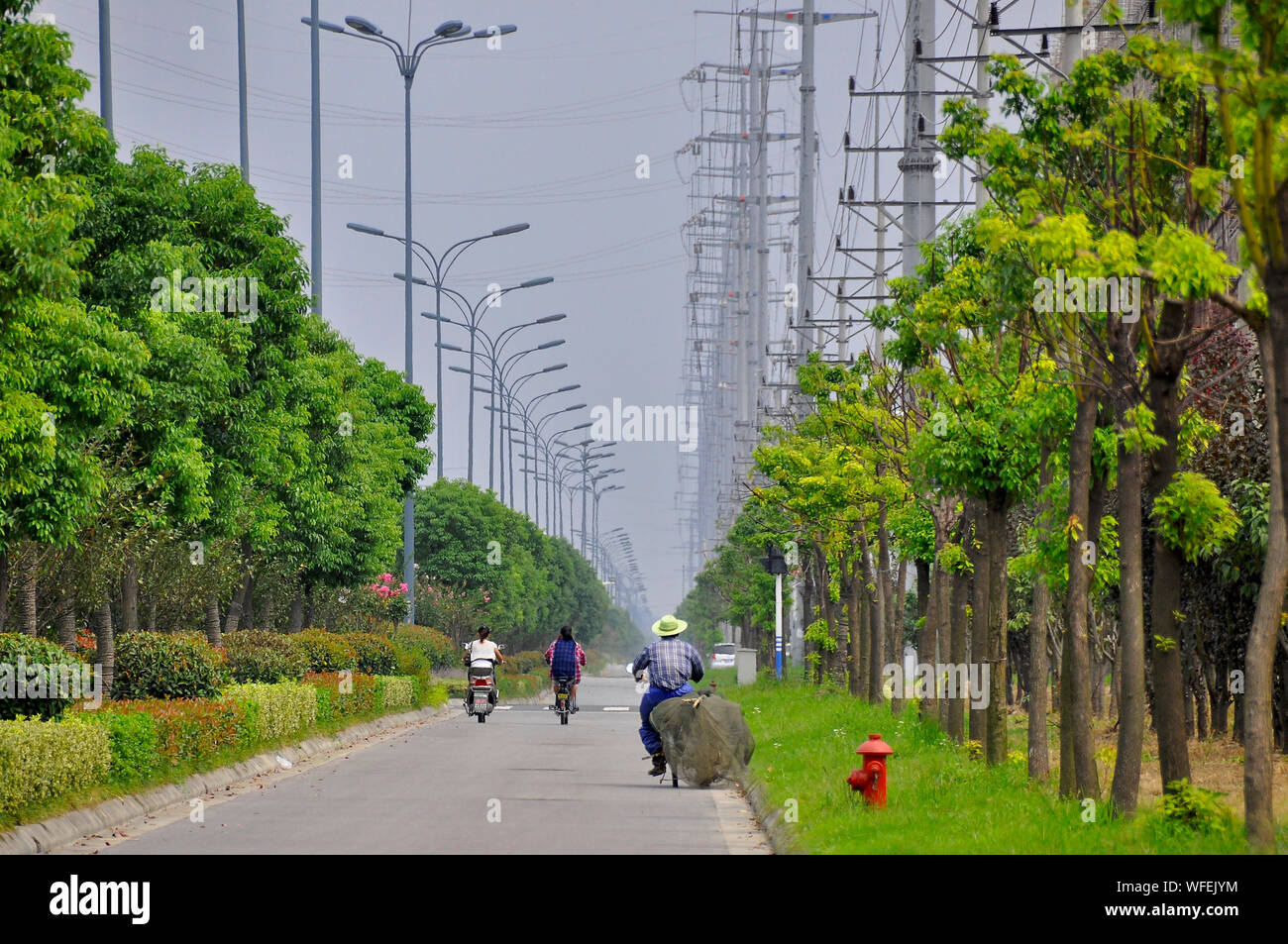 A tree lined cycle lane in Nantong China Stock Photo - Alamy
