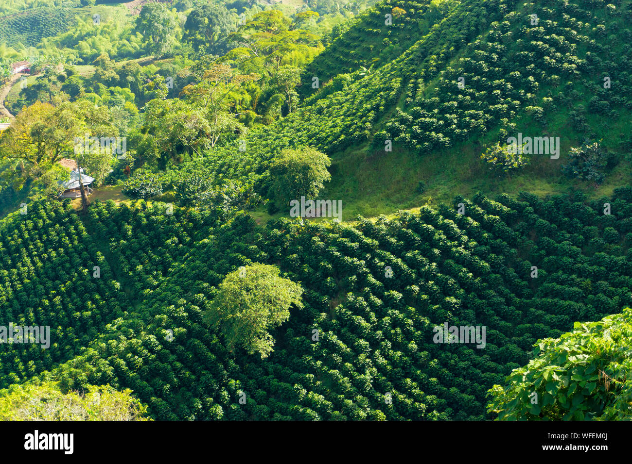 Remote Hill Farm High Resolution Stock Photography and Images - Alamy