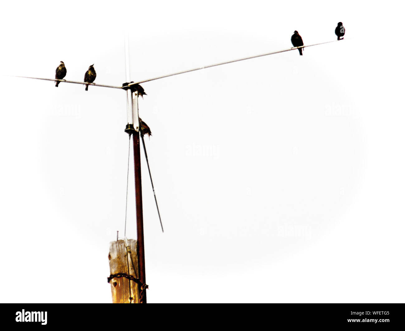 Electricity pylon construction Cut Out Stock Images & Pictures - Alamy