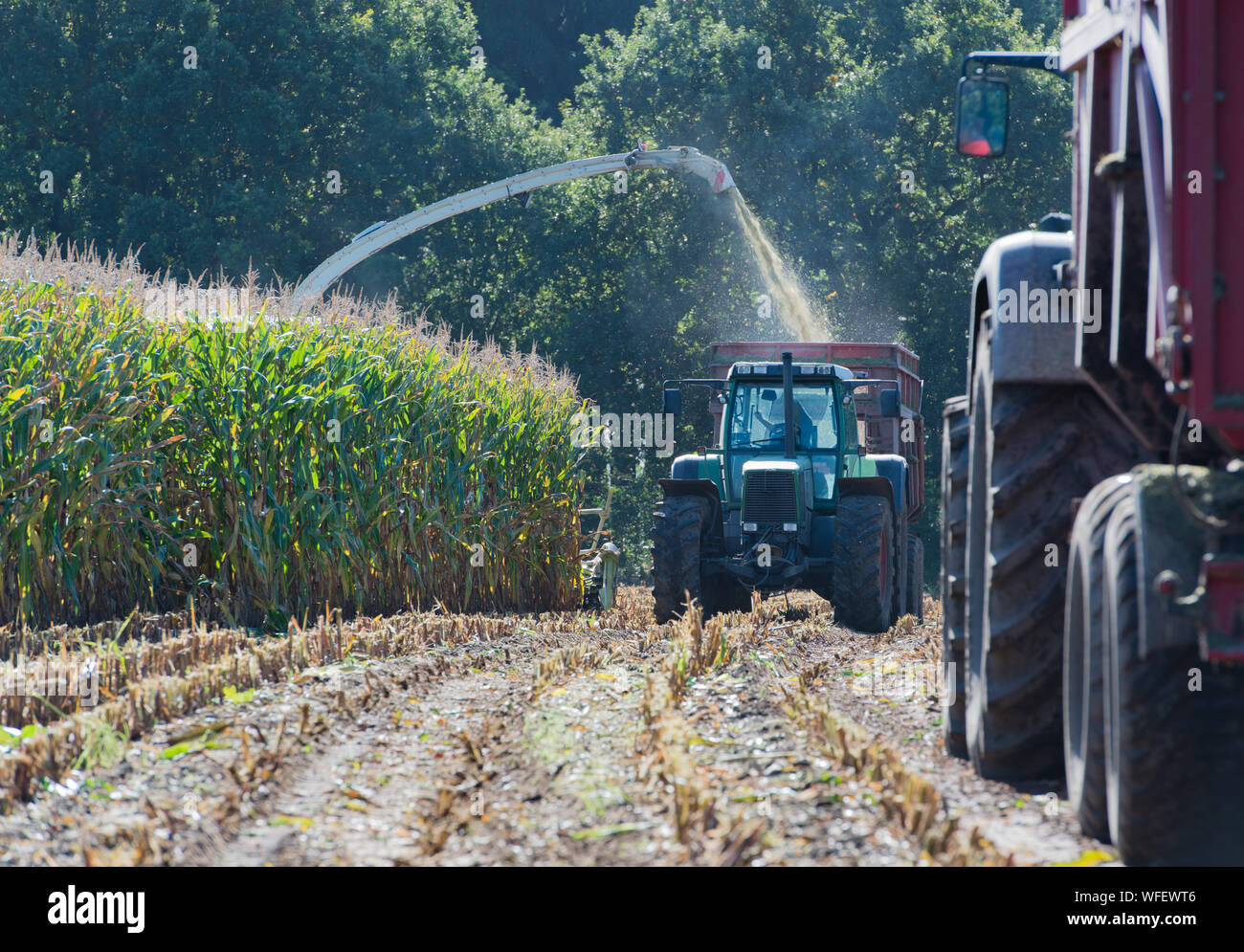 Grains transportation hi-res stock photography and images - Alamy