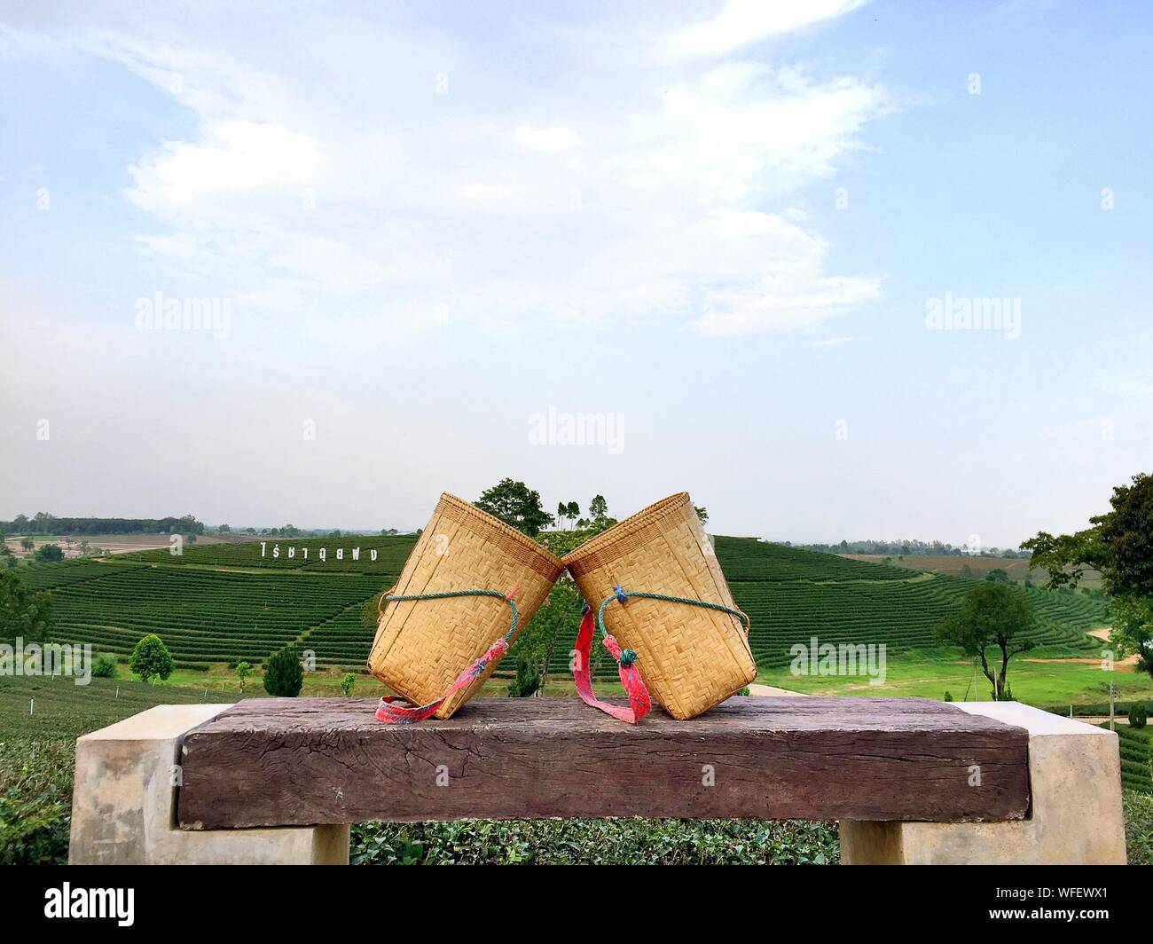 Tea on bench hi-res stock photography and images - Alamy