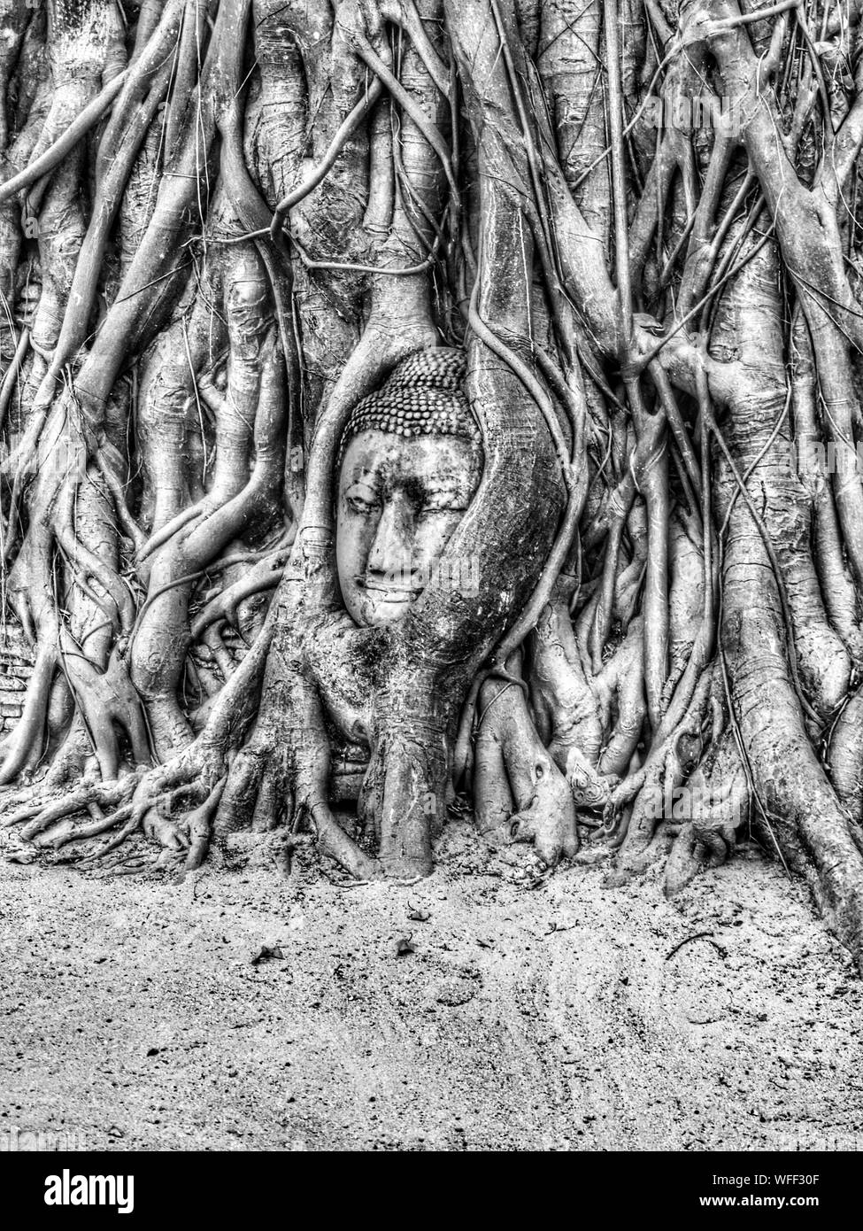 Carving buddha Black and White Stock Photos & Images - Alamy