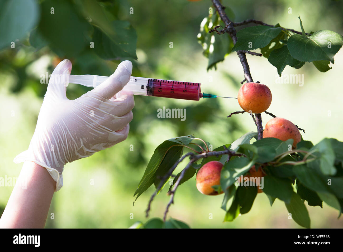 Syringe tree hi-res stock photography and images - Alamy