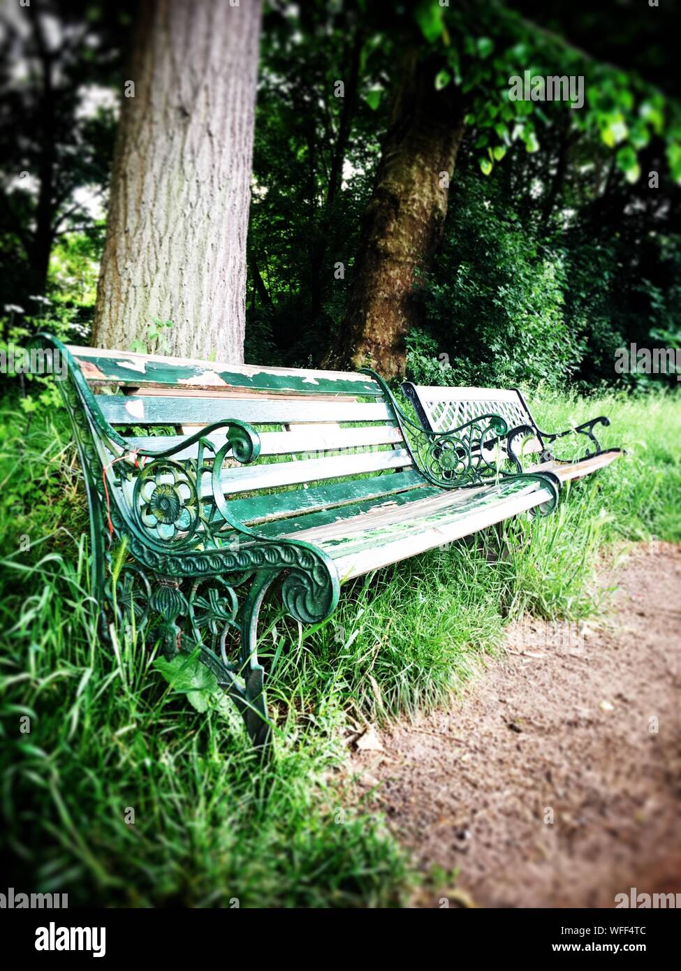 Trees and park benches hi-res stock photography and images - Alamy