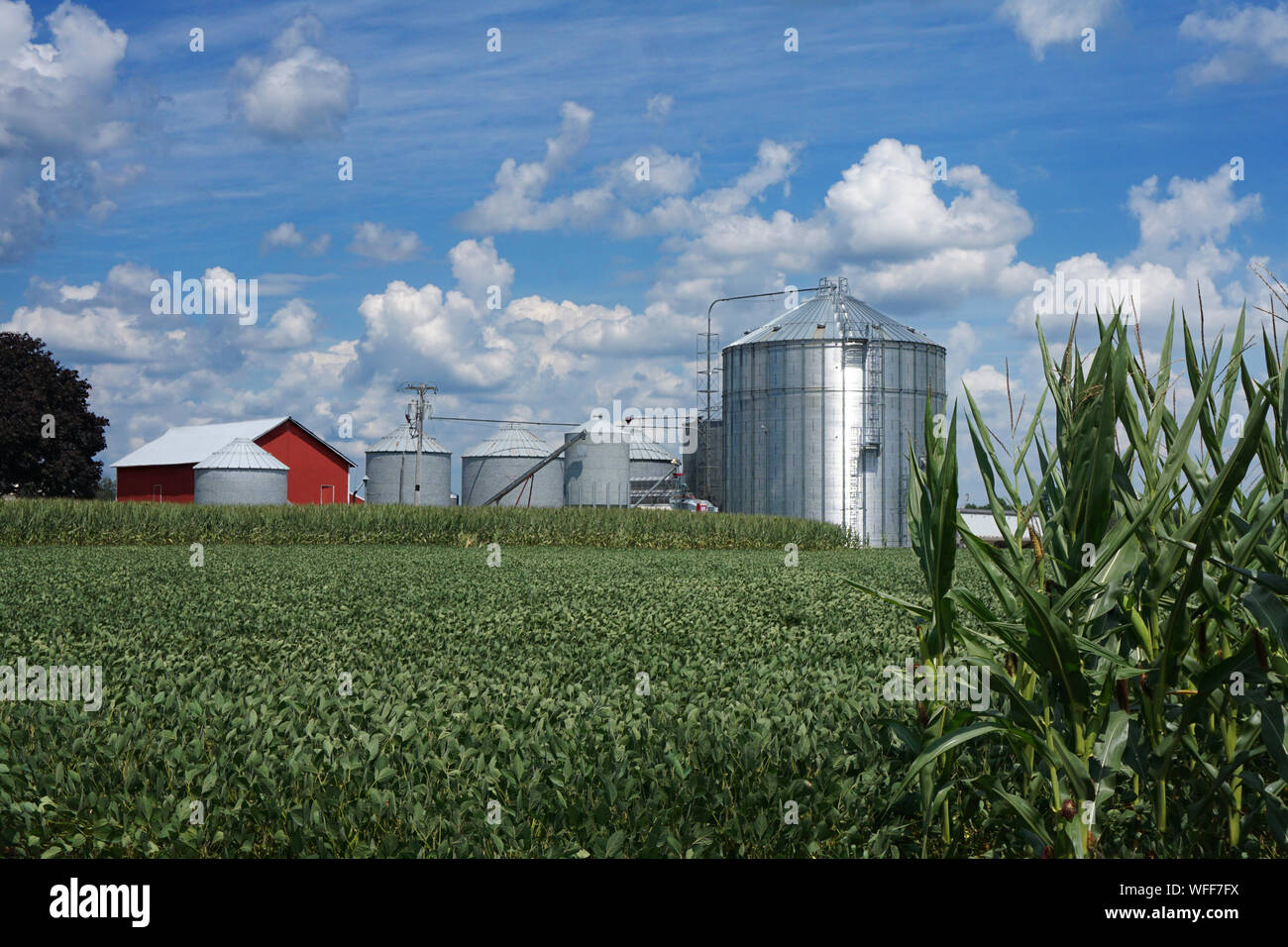 Farm silos field storage silo hi-res stock photography and images - Alamy
