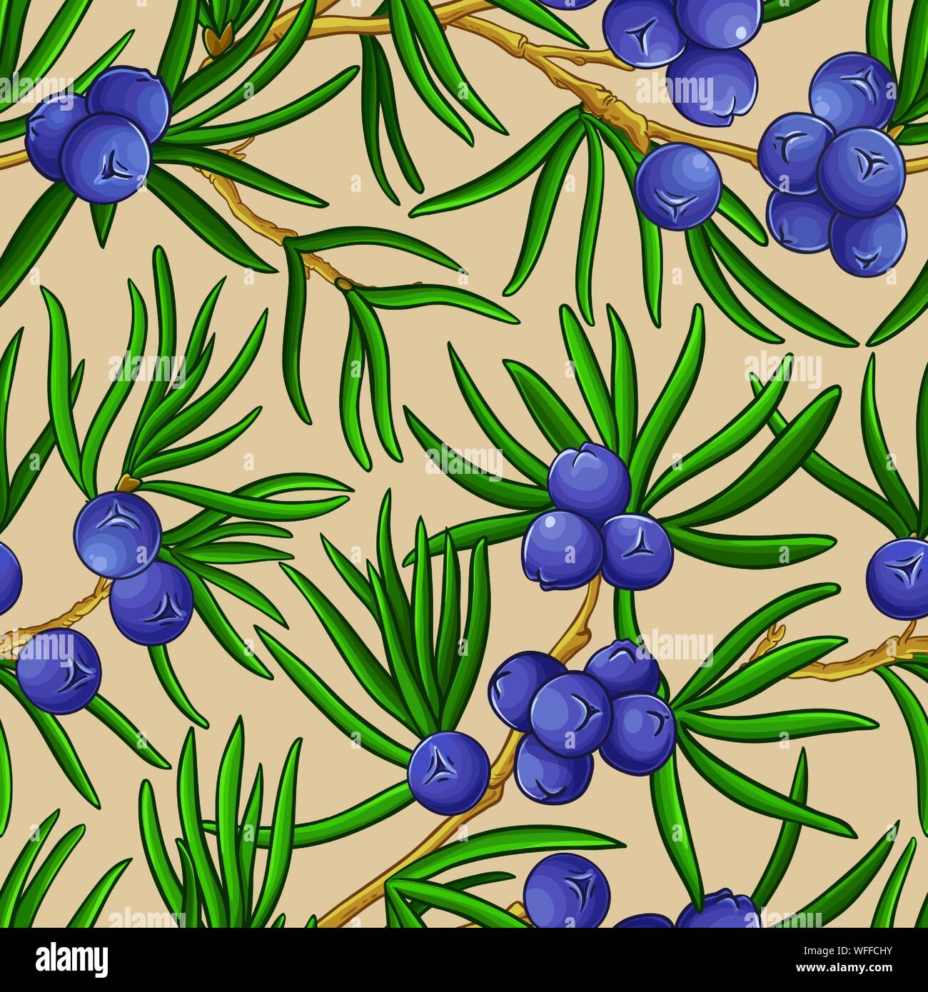 juniper vector pattern on color background Stock Vector Image & Art - Alamy