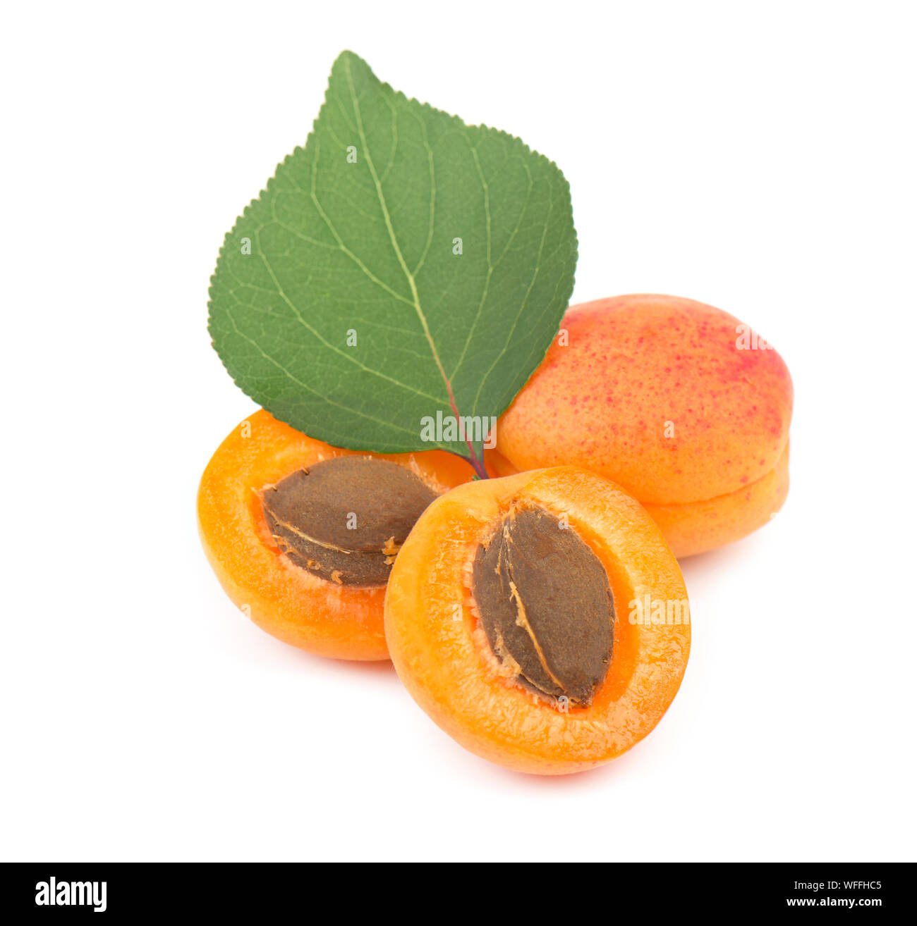 Isolated apricot. Fresh cut apricot fruits isolated on white background ...