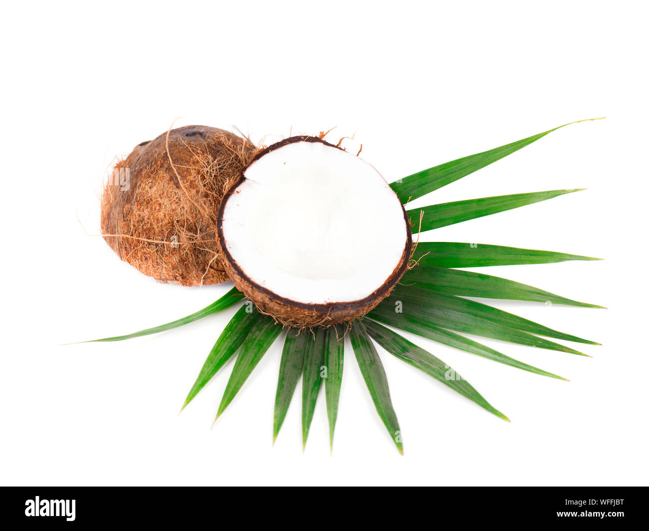 Tropical fruit coconut. Fresh coconut with leaves isolated on white ...