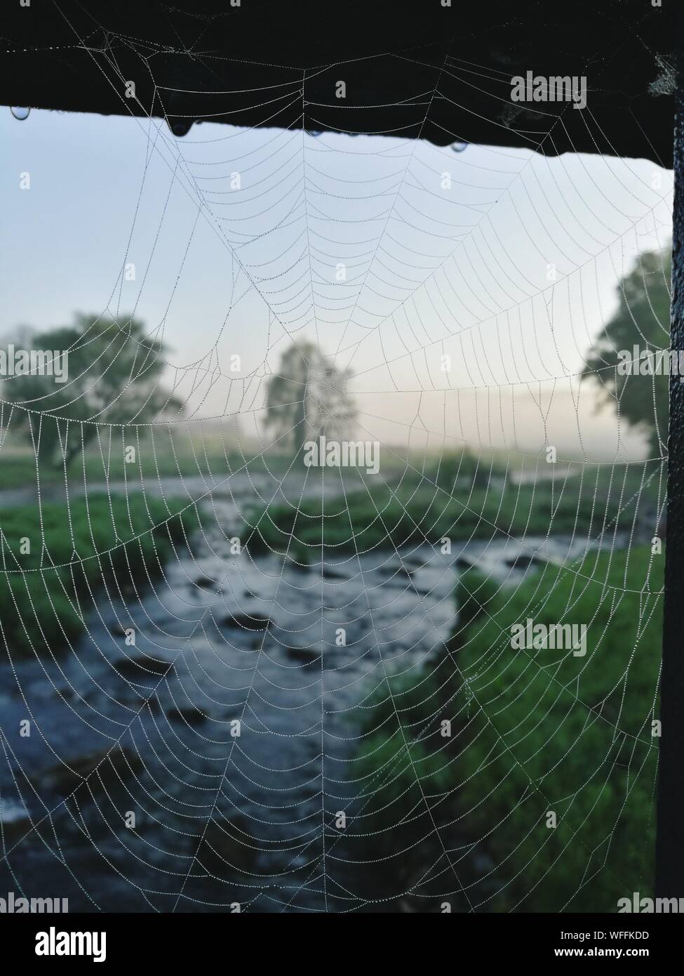 The Spider Web Bridge High Resolution Stock Photography and Images - Alamy