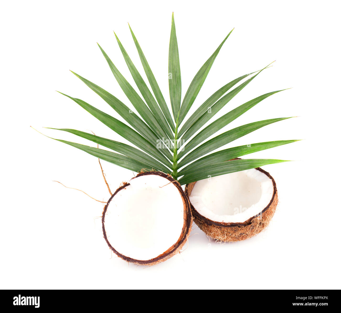 Close up of desiccated coconut Cut Out Stock Images & Pictures - Alamy