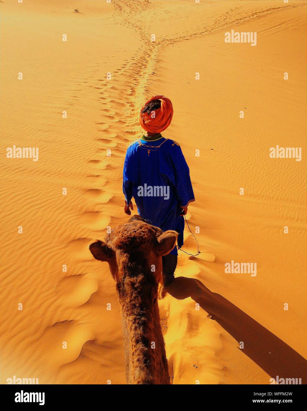 Man Leading Camel High Resolution Stock Photography and Images - Alamy