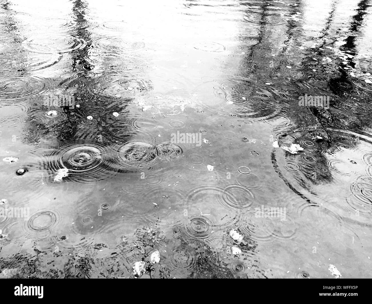 Raindrops puddle Black and White Stock Photos & Images - Alamy