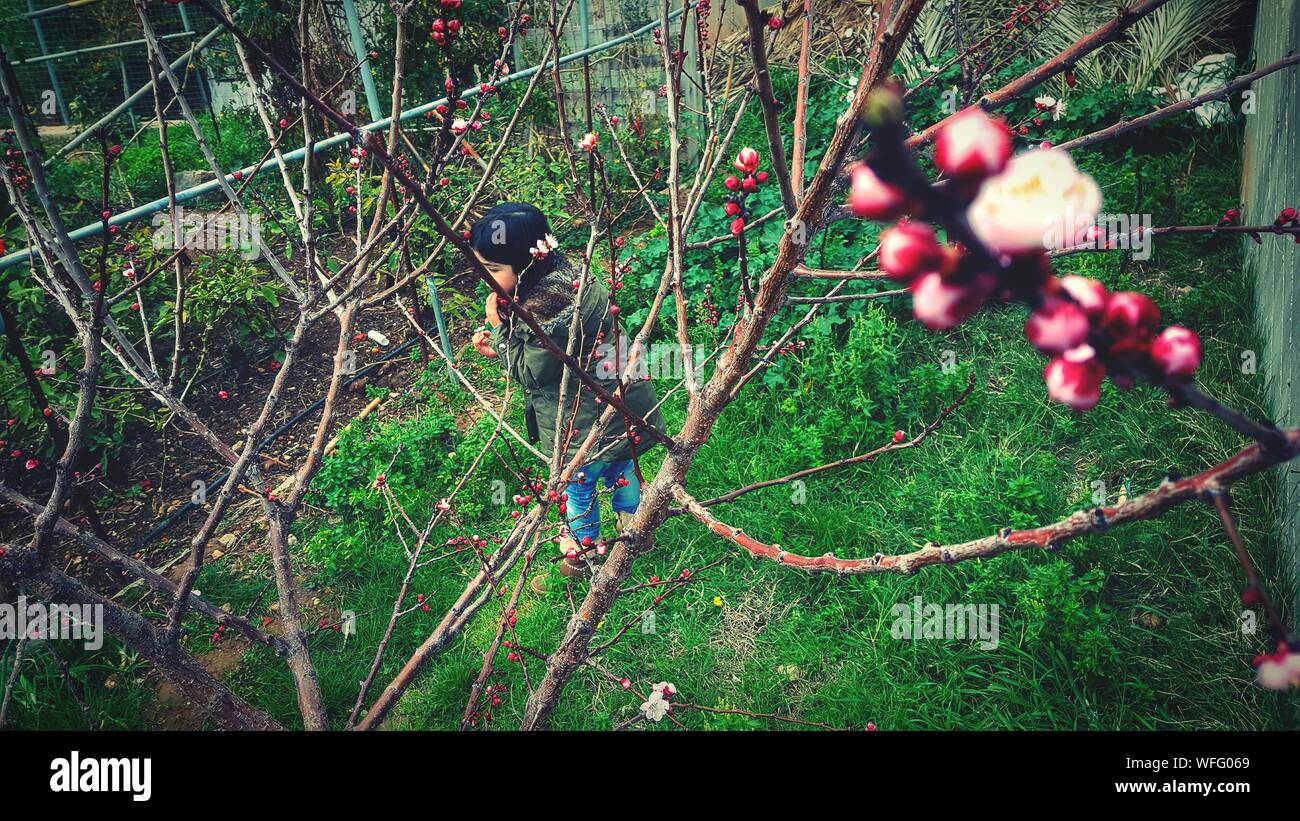 High angle shot grassland hi-res stock photography and images - Alamy