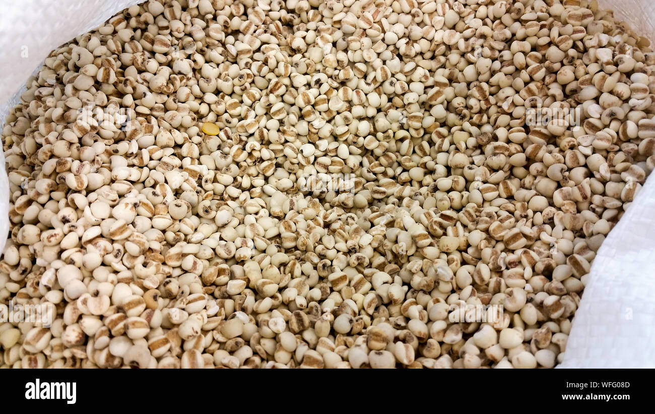 Millets Sale High Resolution Stock Photography and Images - Alamy