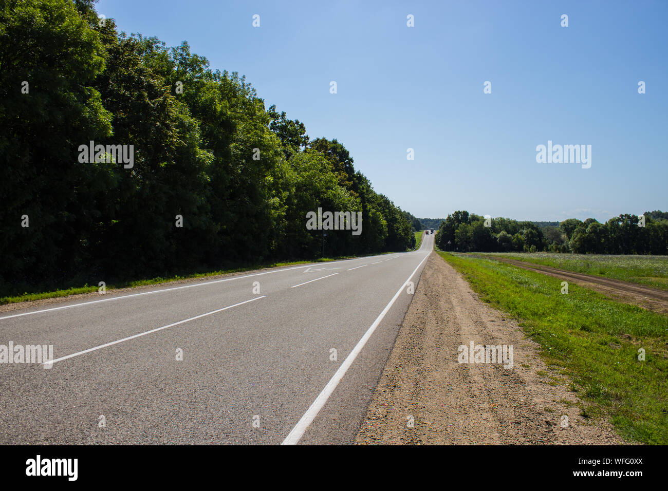 Asphalt country road in a beautiful forest Stock Photo - Alamy