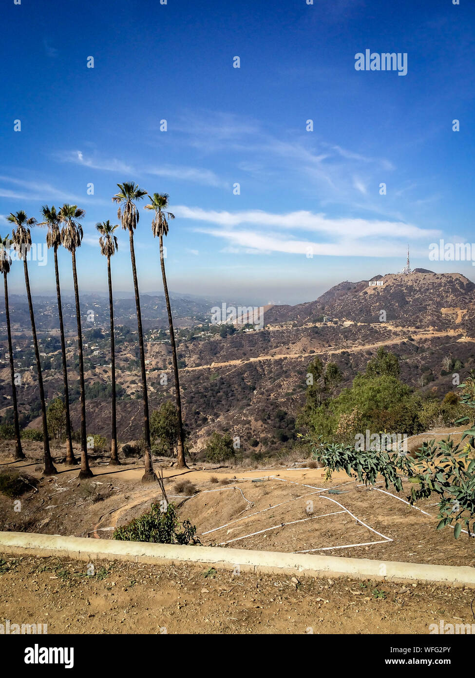 Hollywood observatory hi-res stock photography and images - Alamy