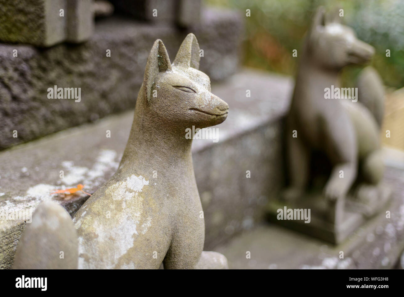 Statue of fox hi-res stock photography and images - Alamy