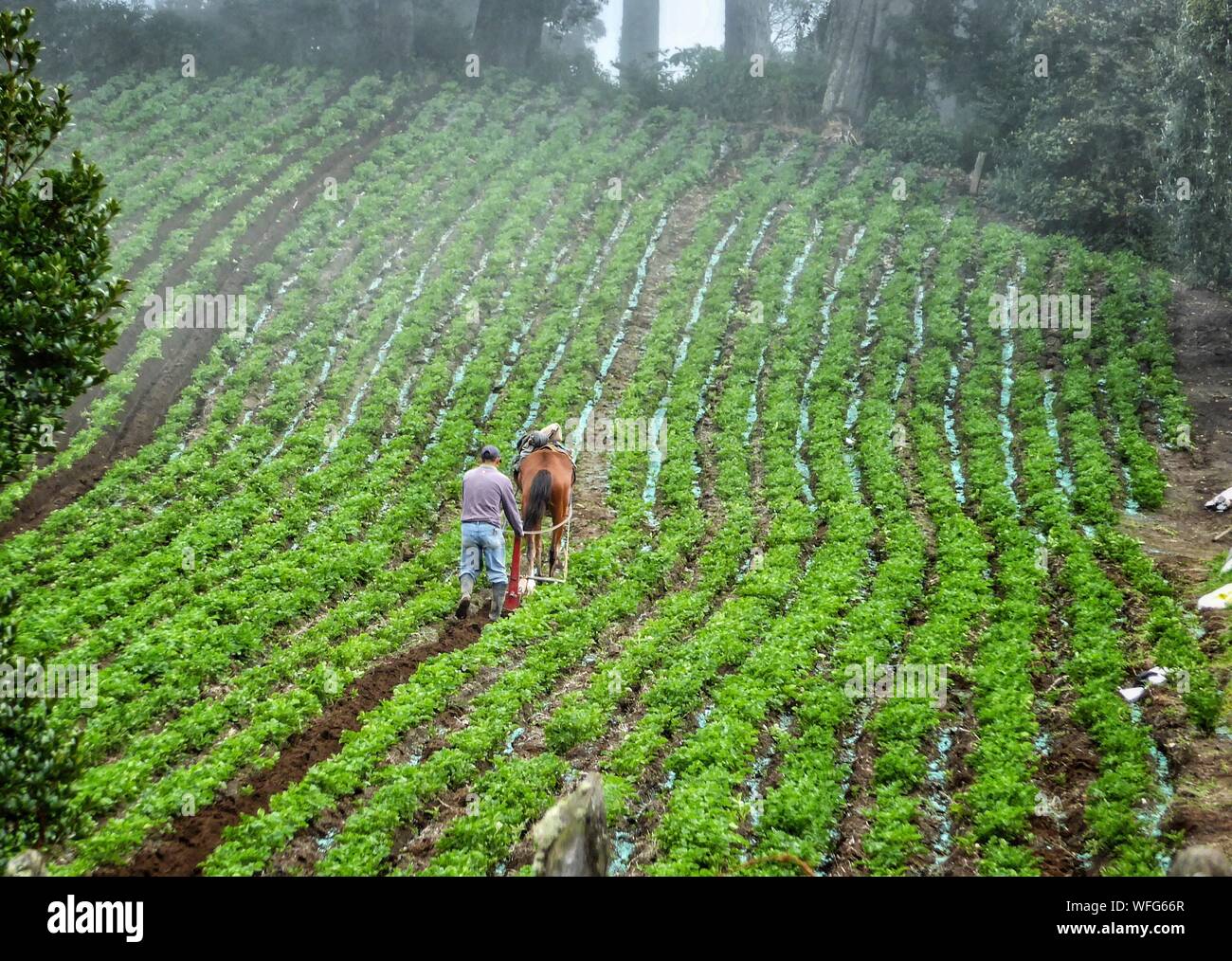 Man working farm hi-res stock photography and images - Alamy