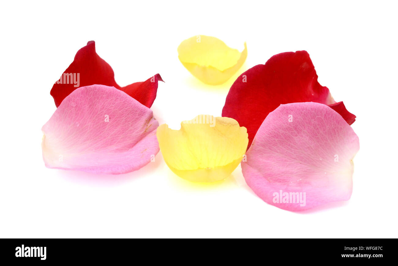 Images for red rose image Cut Out Stock Images & Pictures - Alamy