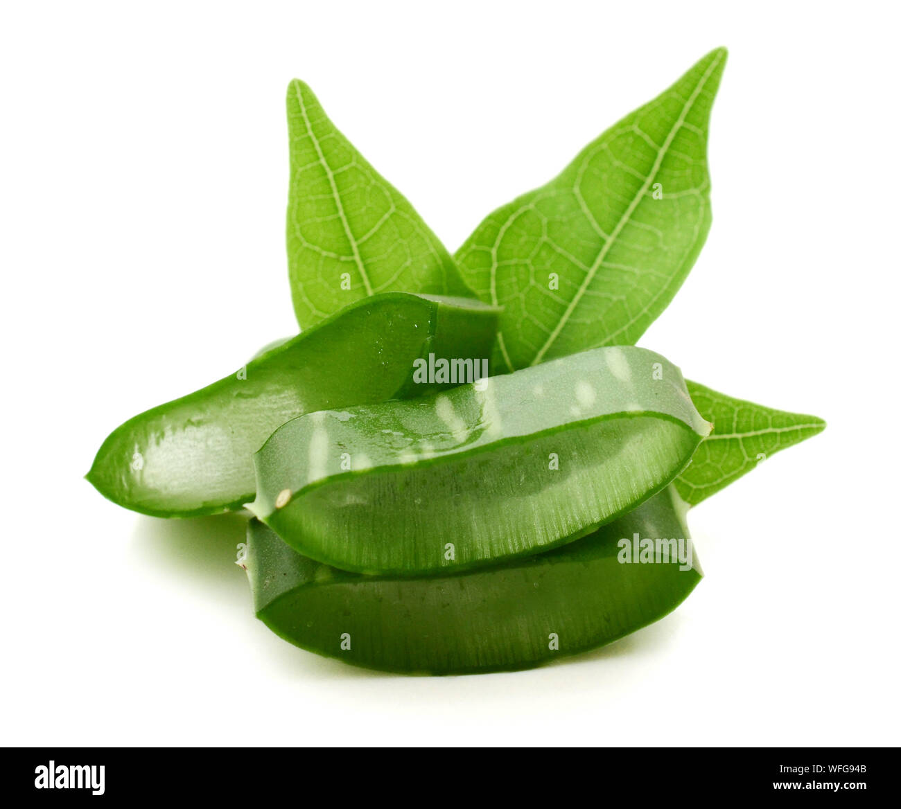 Picture of aloe vera hi-res stock photography and images - Alamy
