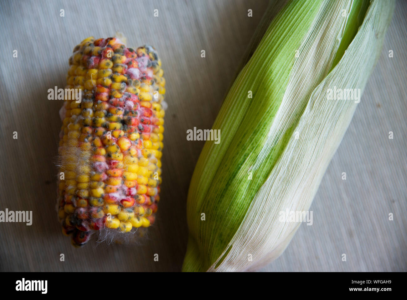 Growing Smut On Corn Fungal High Resolution Stock Photography and ...