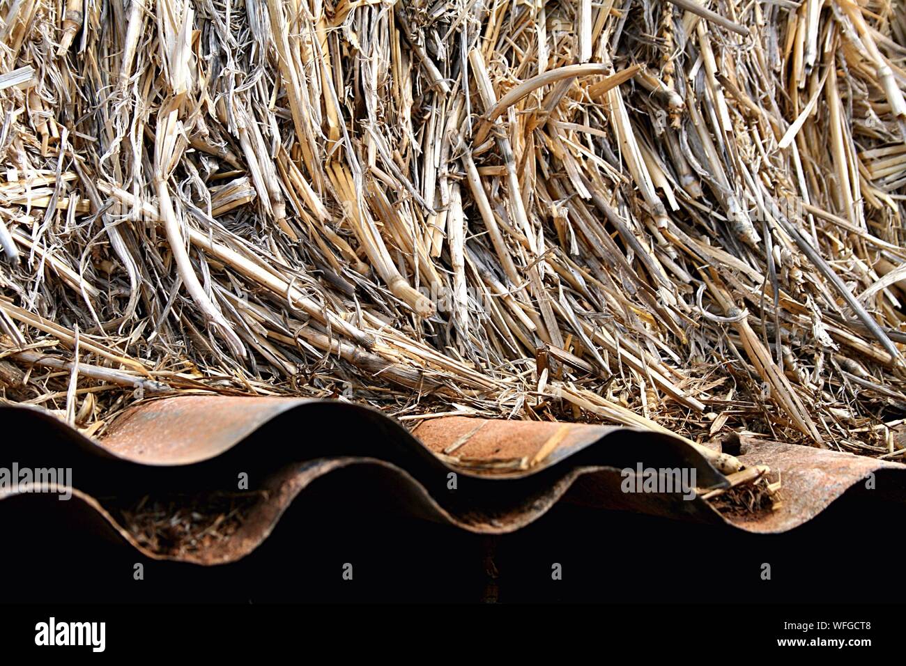 Wave Roof Stock Photos & Wave Roof Stock Images - Alamy