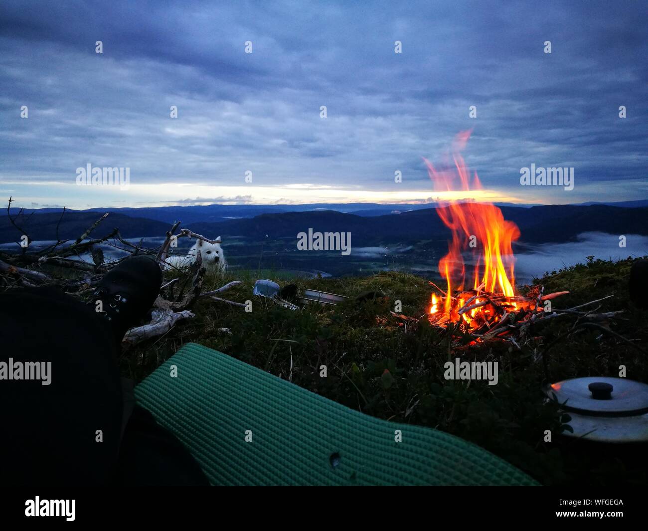 Campfire animals hi-res stock photography and images - Alamy