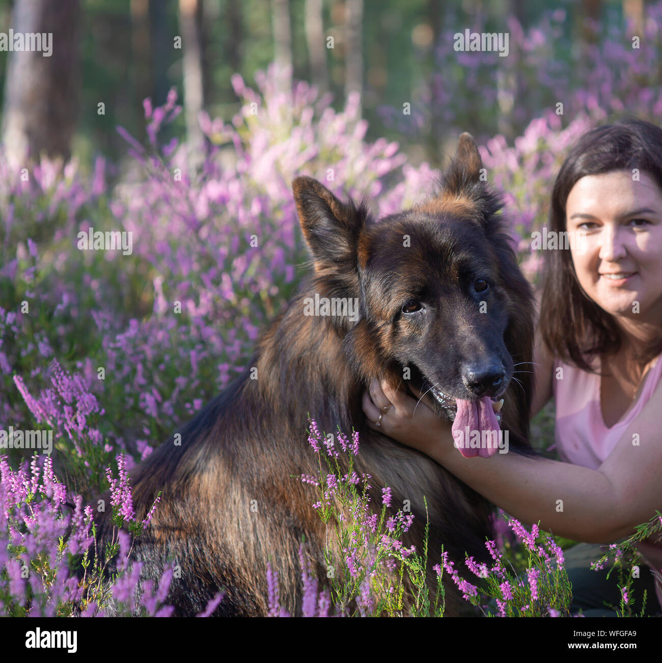 German shepherd dog and owner Stock Photo - Alamy
