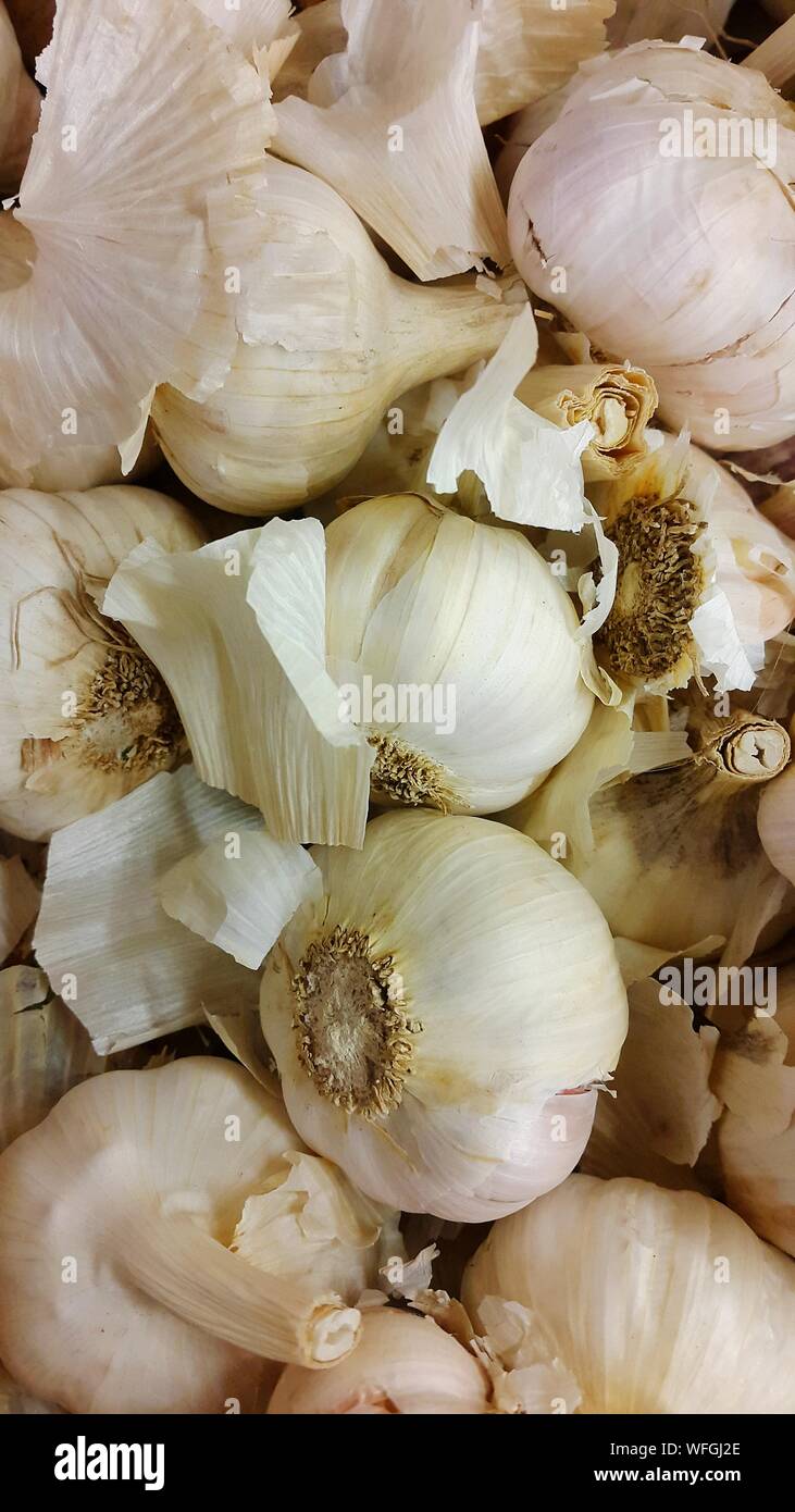 Full of bulbs hi-res stock photography and images - Alamy