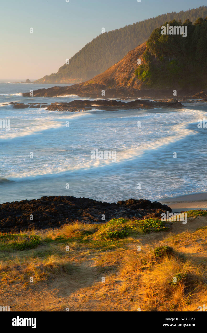 Cove at Strawberry Hill, Neptune State Park, Oregon Stock Photo - Alamy