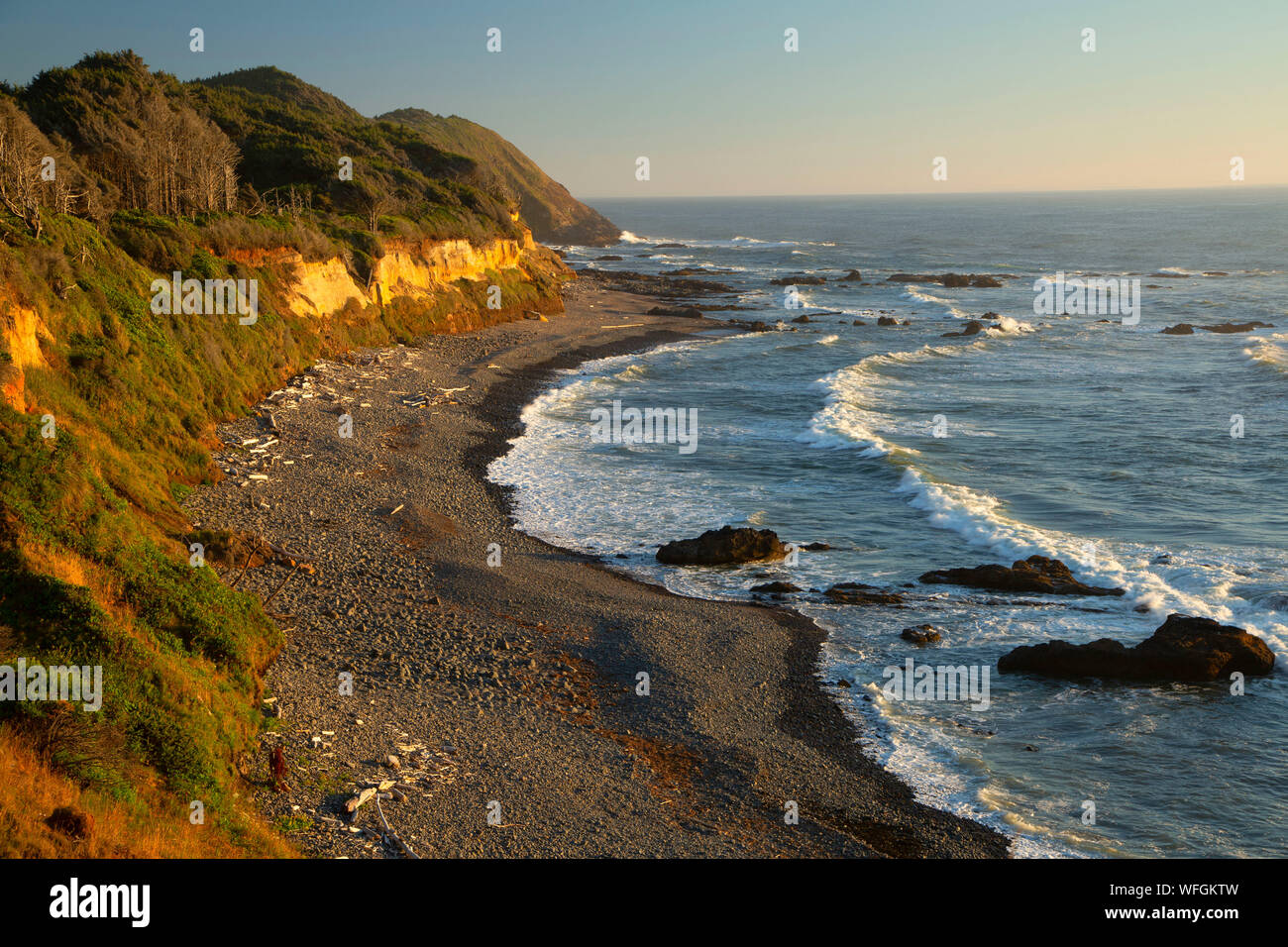 Beach from Strawberry Hill, Neptune State Park, Oregon Stock Photo - Alamy