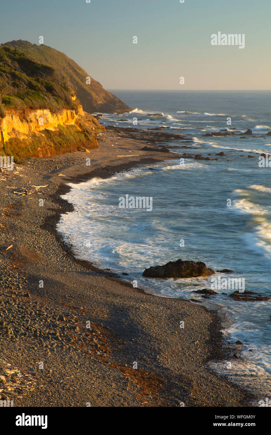 Beach from Strawberry Hill, Neptune State Park, Oregon Stock Photo - Alamy
