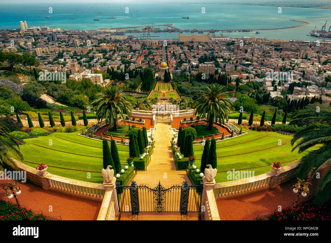 Halfa grass hi-res stock photography and images - Alamy