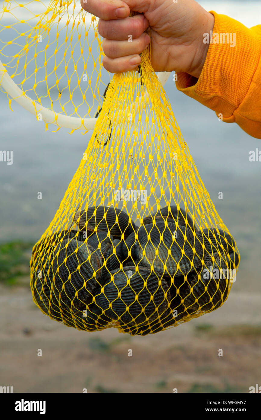 Alsea bay hi-res stock photography and images - Alamy