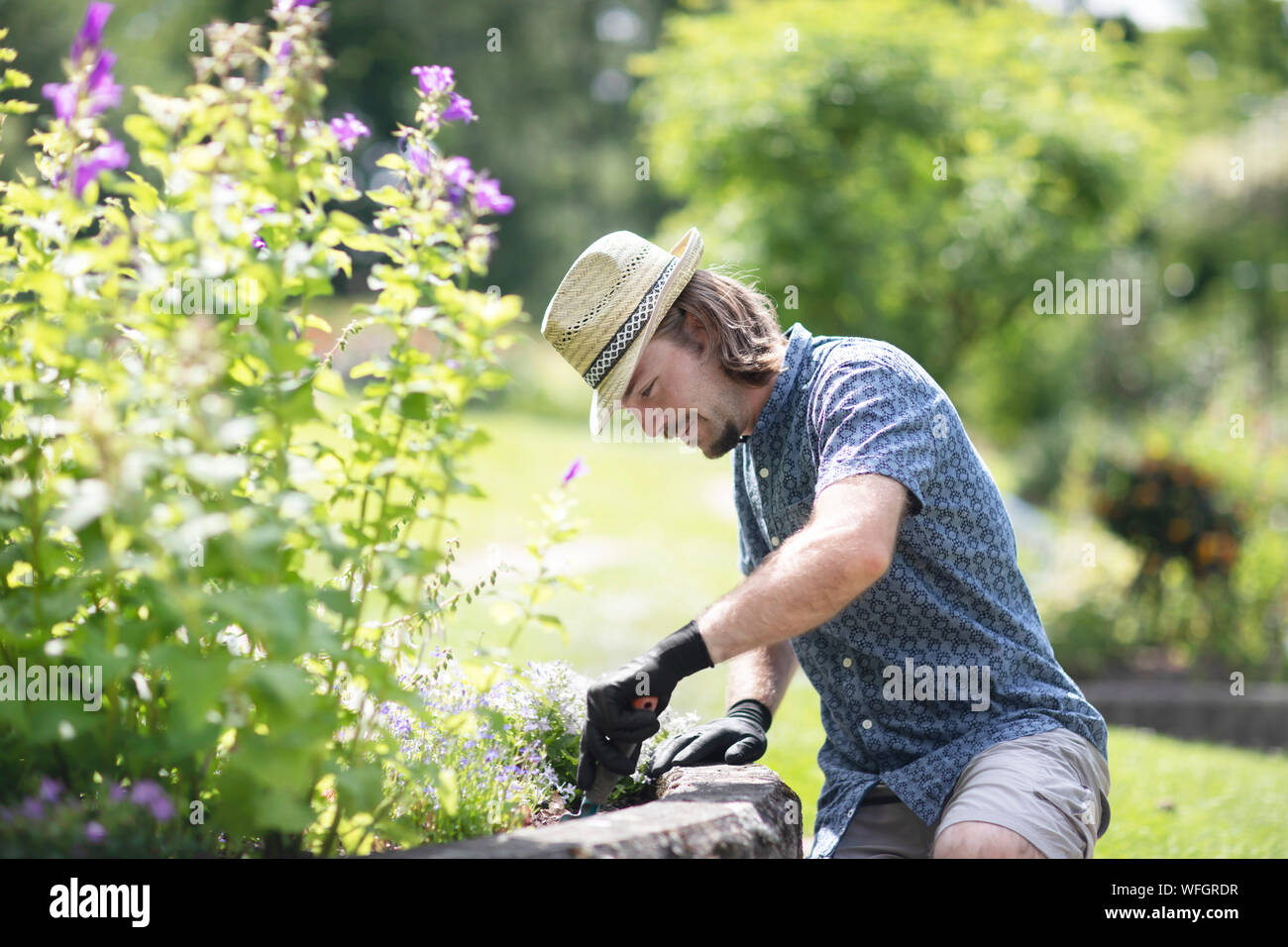 Men gardening hi-res stock photography and images - Alamy