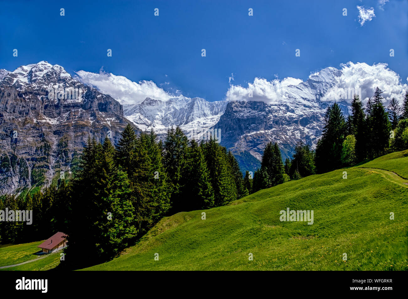 Austrian Tyrol Panorama Stock Photo - Alamy