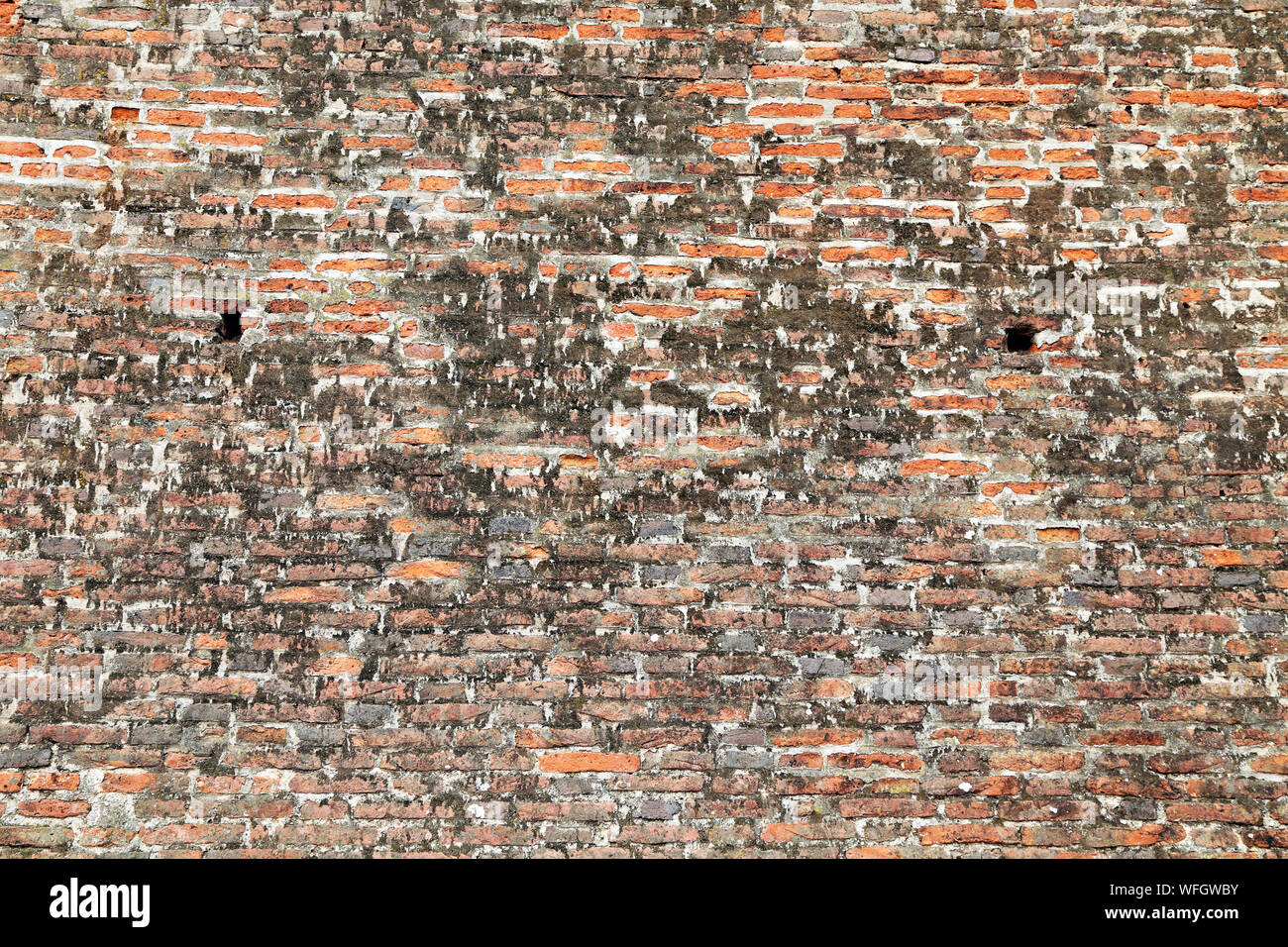 Run down wall hi-res stock photography and images - Alamy