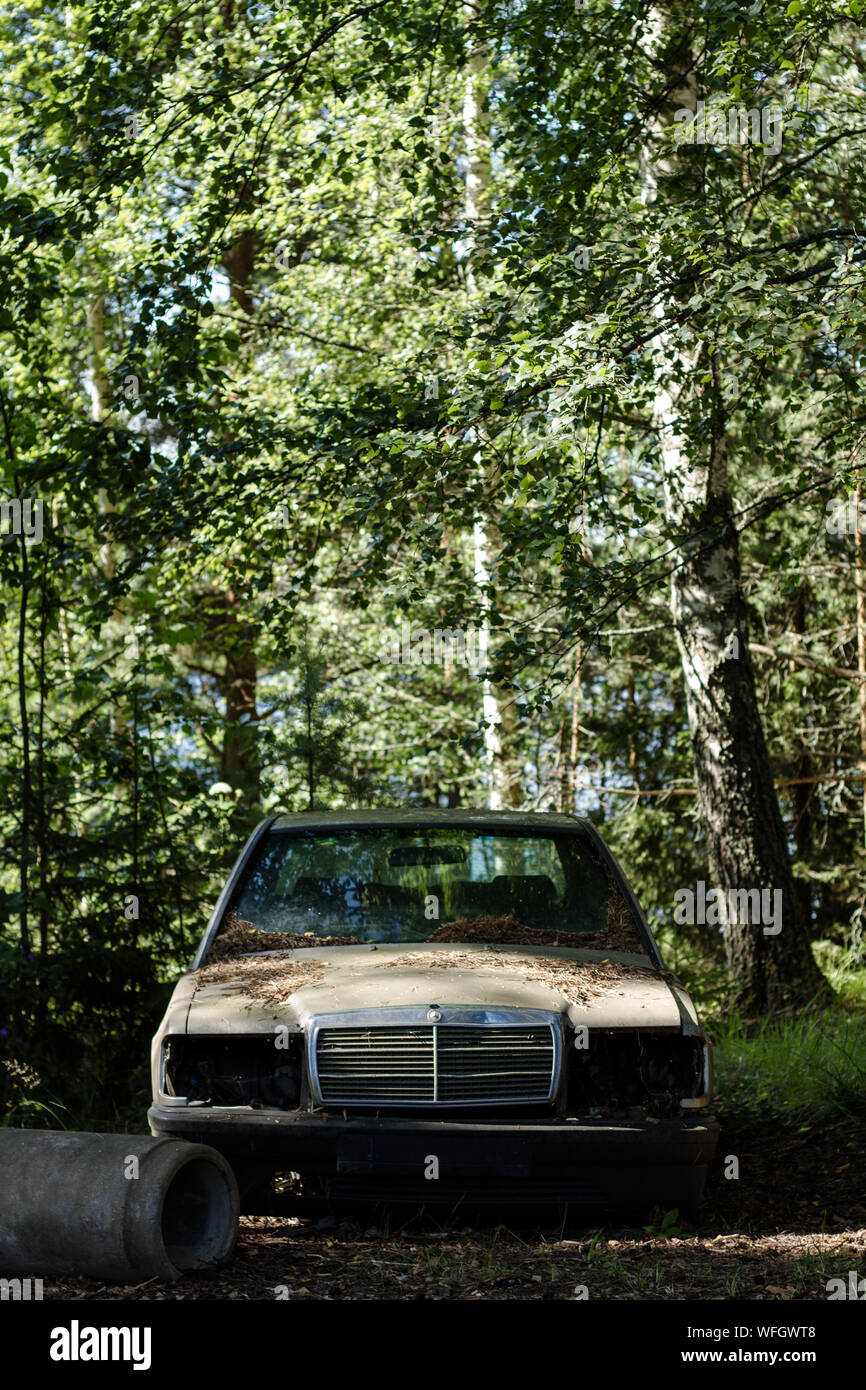Tree trunk car hi-res stock photography and images - Alamy